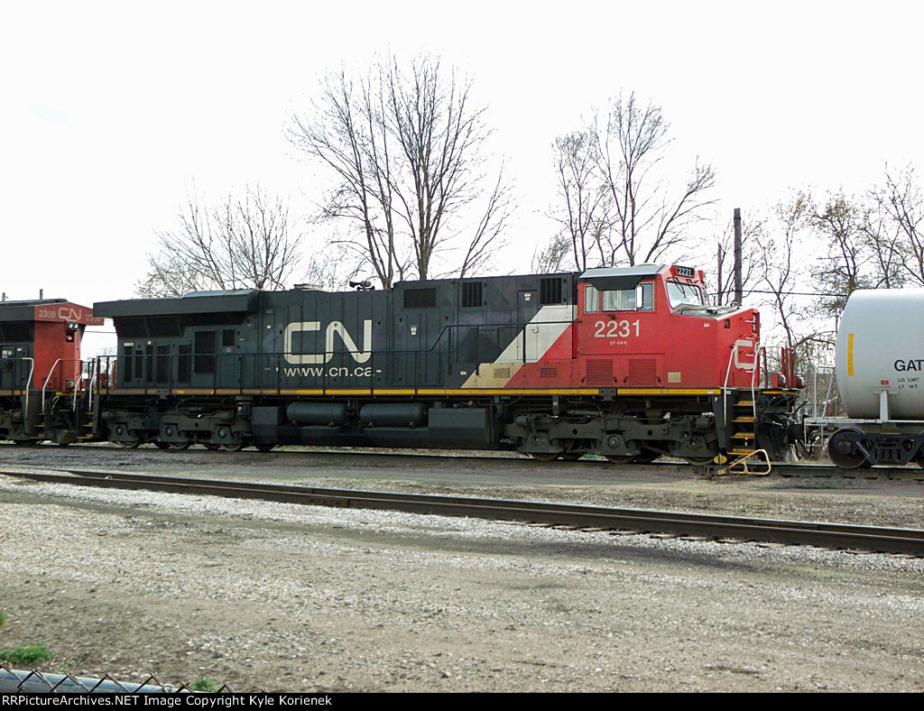 CN 2231